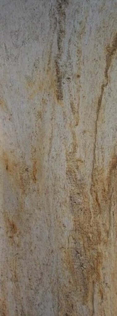 Harvest Cream Granite | HG Stones